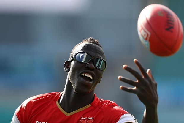 Swans sharpen focus