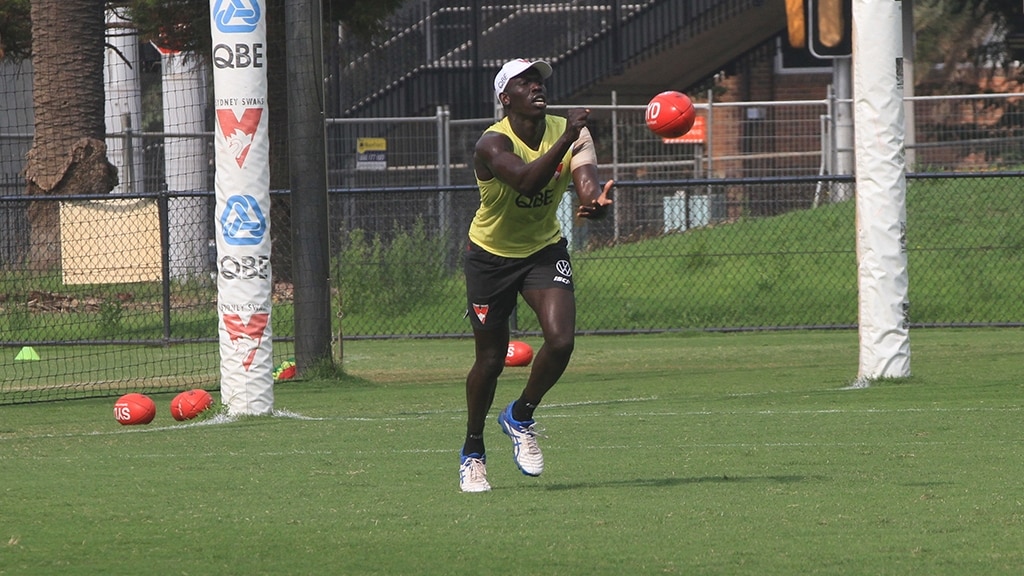 New-look defence 'gelling': Aliir
