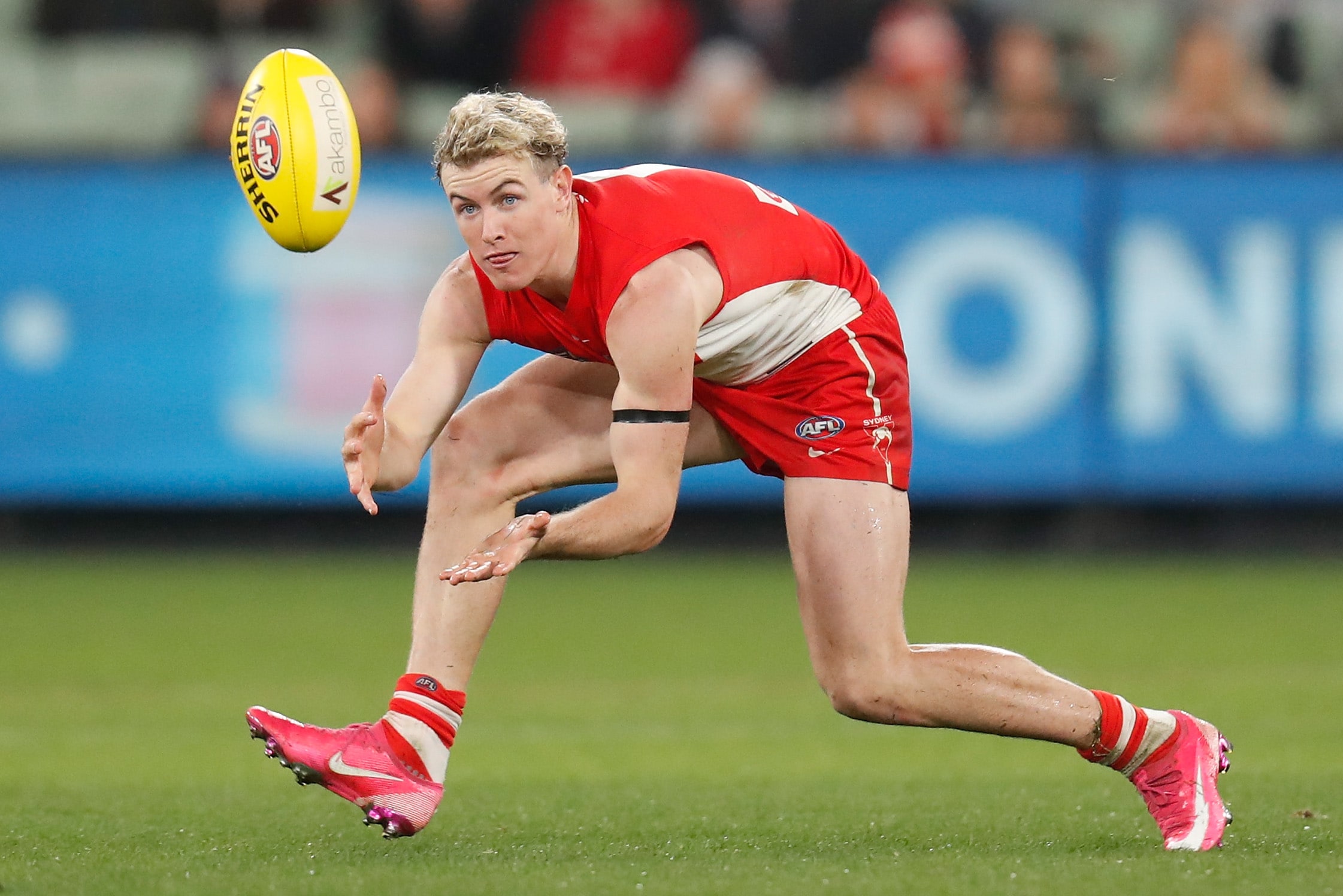 Warner to undergo testing ahead of Hawthorn