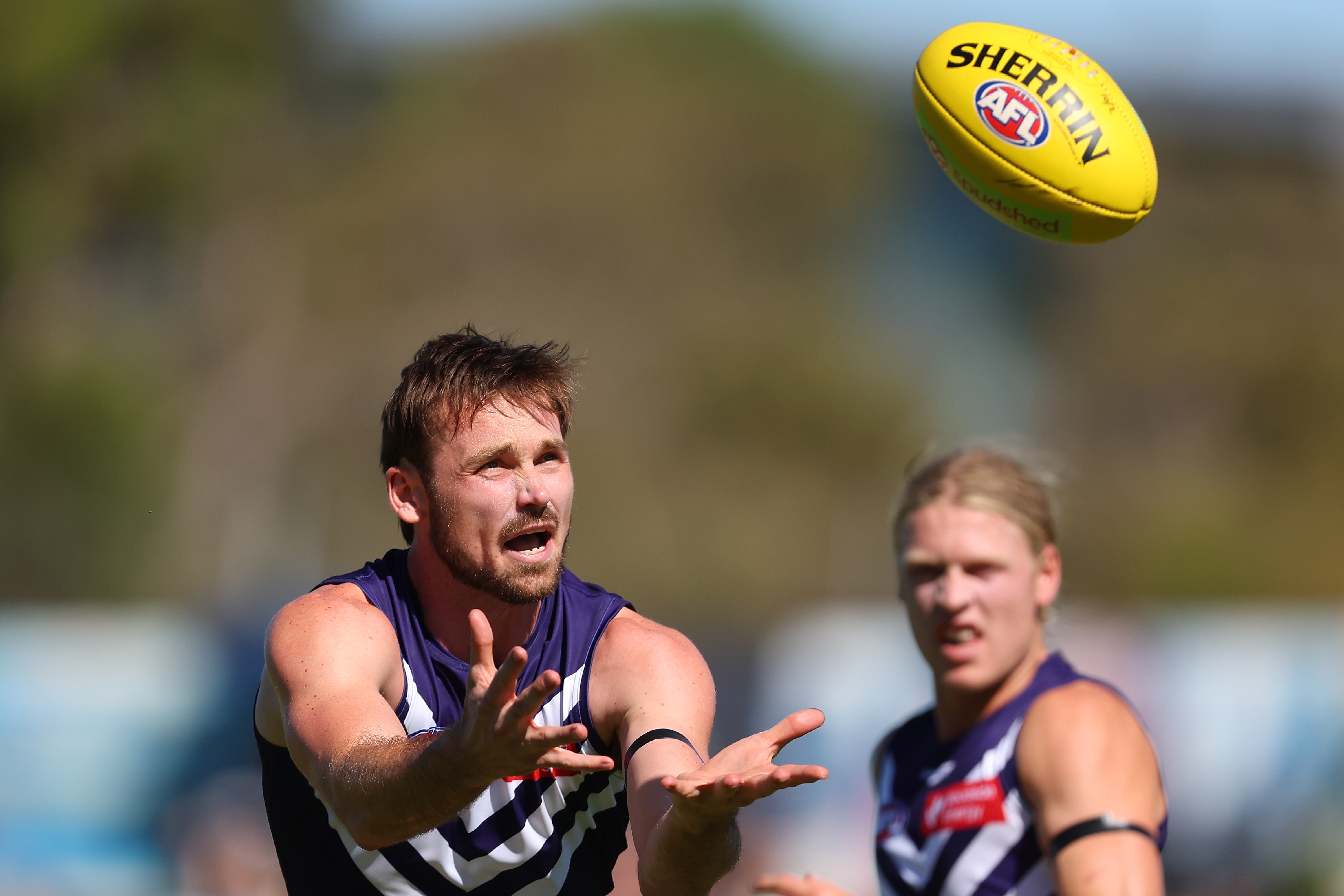 Hamling heads to Sydney