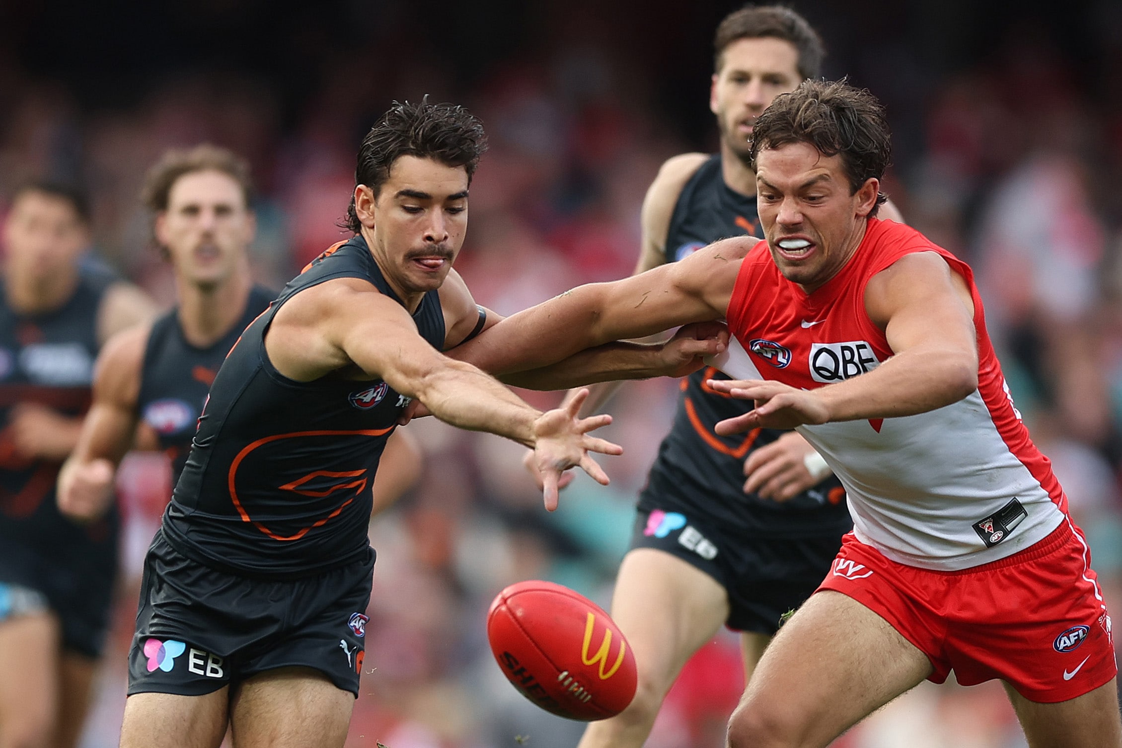 Expert Tipping: Who takes the win in the Sydney Derby and QClash?