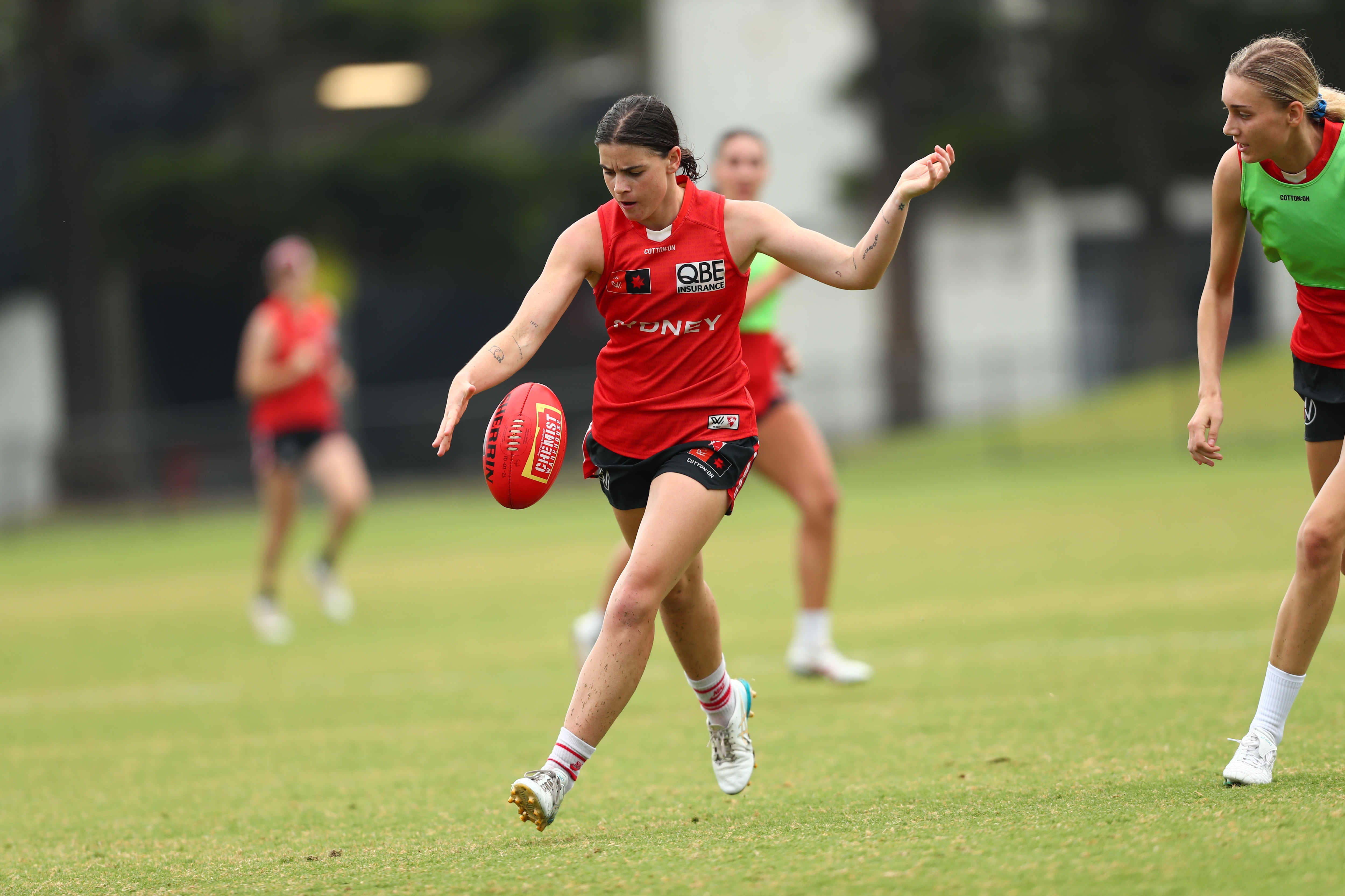 Get to know Darcy Moloney