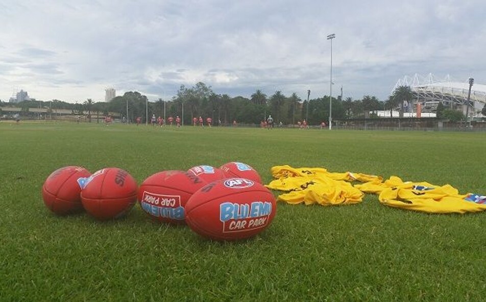Blu Emu Car Park signs with the Swans