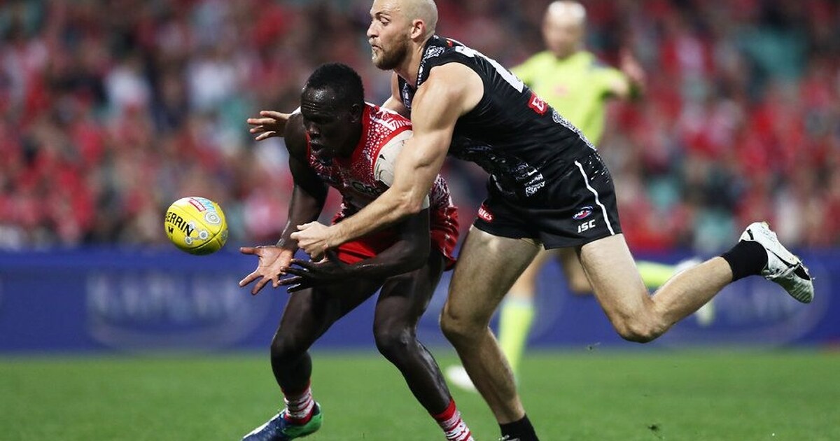 Swans gallant against Pies