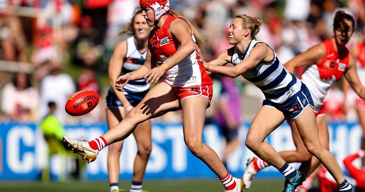 Swans fight hard against heavyweights